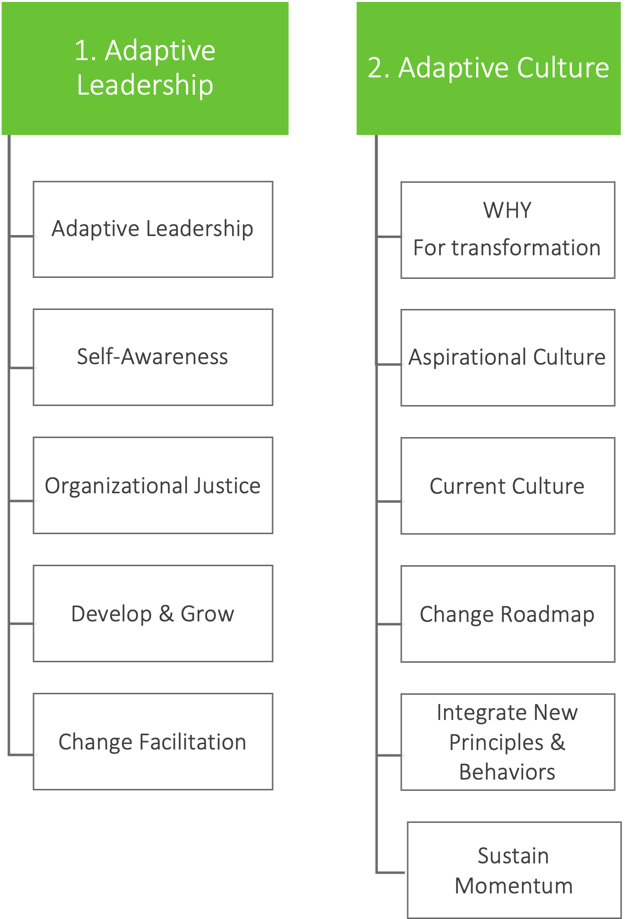 Adaptive Leadership & Culture by TEC Leadership Institute (2024)