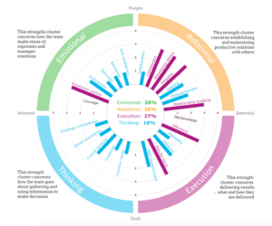 Strengthscope for Coaching (2024) - Learn more