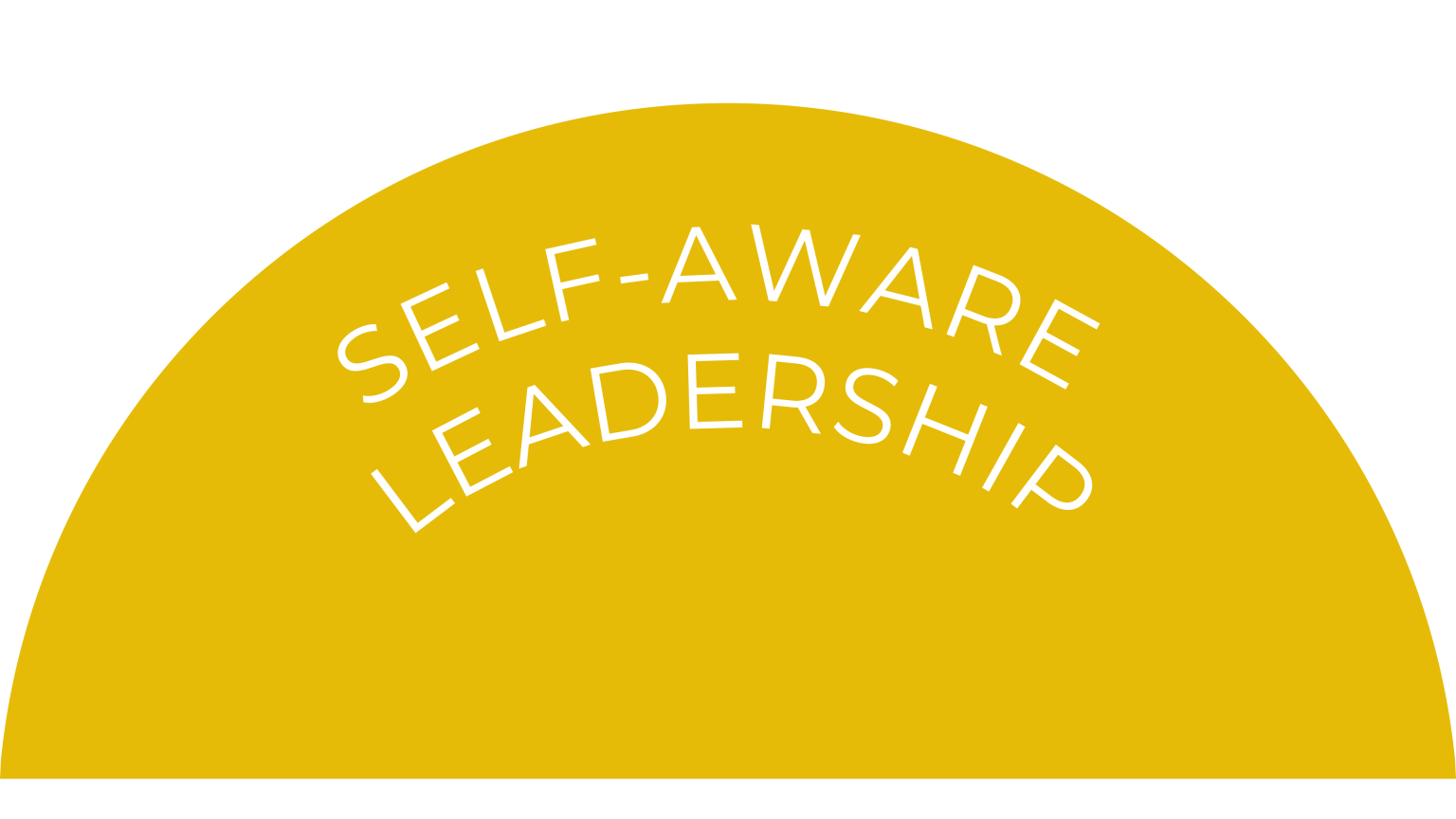Future-Fit Leadership Development by TEC Leadership Institute
